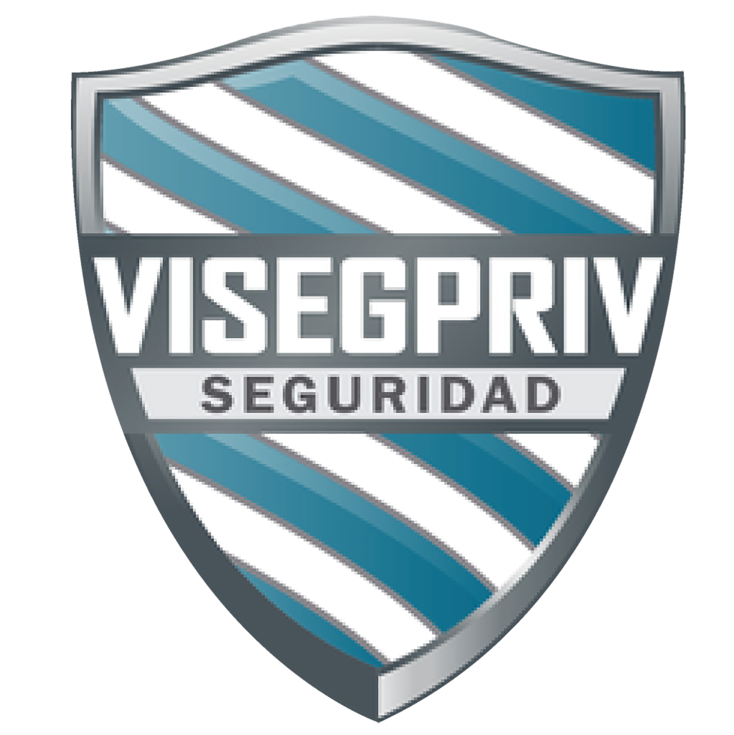Visegpriv Cia. Ltda - Expertos En Seguridad Física y Guardianía